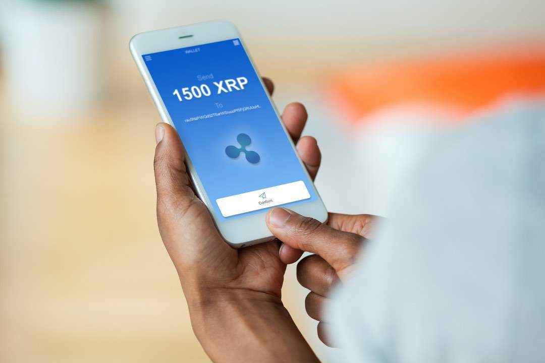 Ripple XRP The List Of The Best Wallets On The Market Ripple XRP The List Of The Best Wallets On The Market