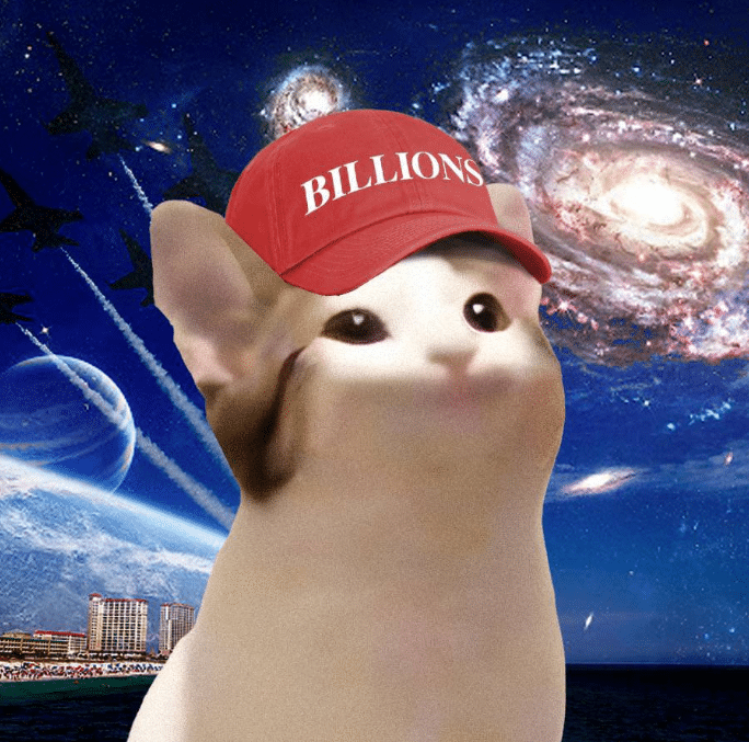 Popcat Coin Reaches $1 Billion Market Cap, Which Meme Coin Is Next?