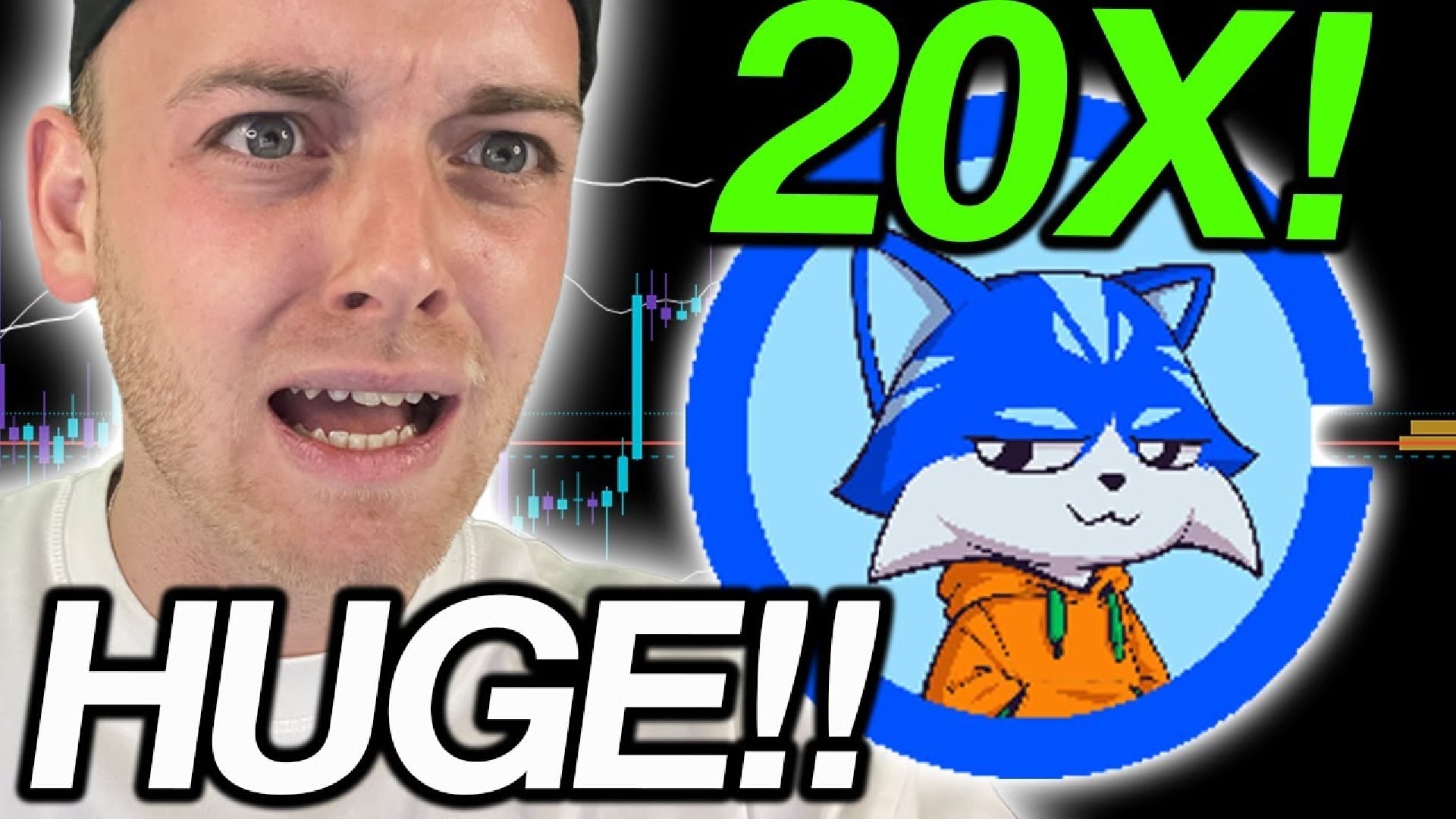 Toshi Price Prediction - Bullish Indicators Suggest TOSHI Could Climb 20x