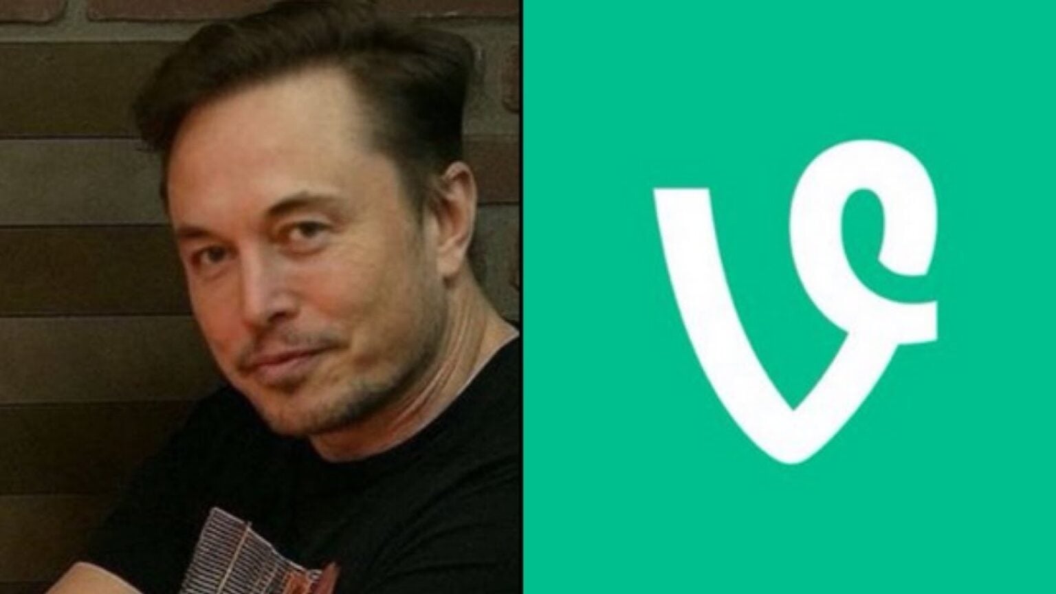 Vine Coin (VINE) Soars 66% After Elon Musk’s AI Vine Tease - Next ...