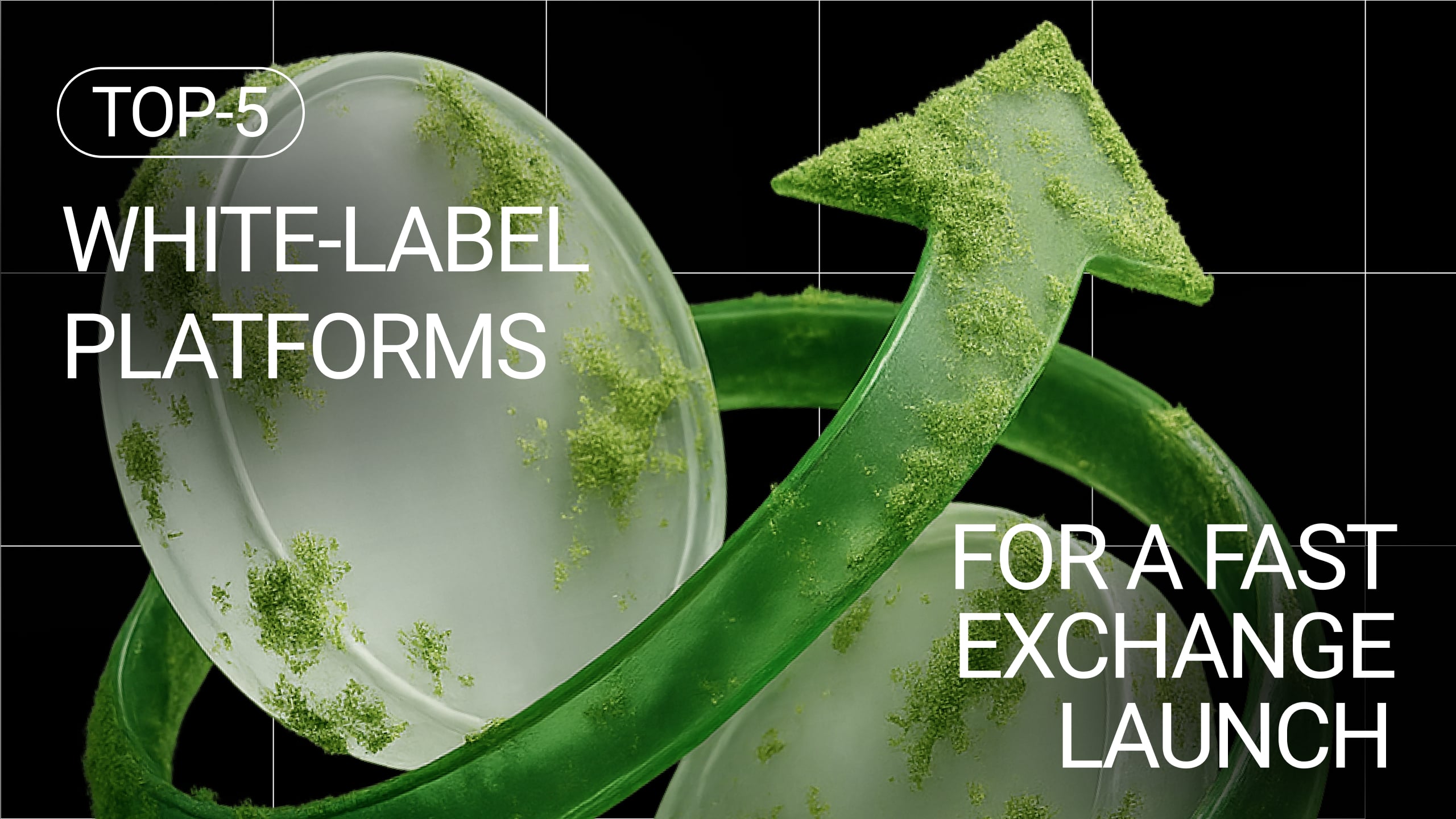 Top 5 White-Label Platforms for a Fast Exchange Launch