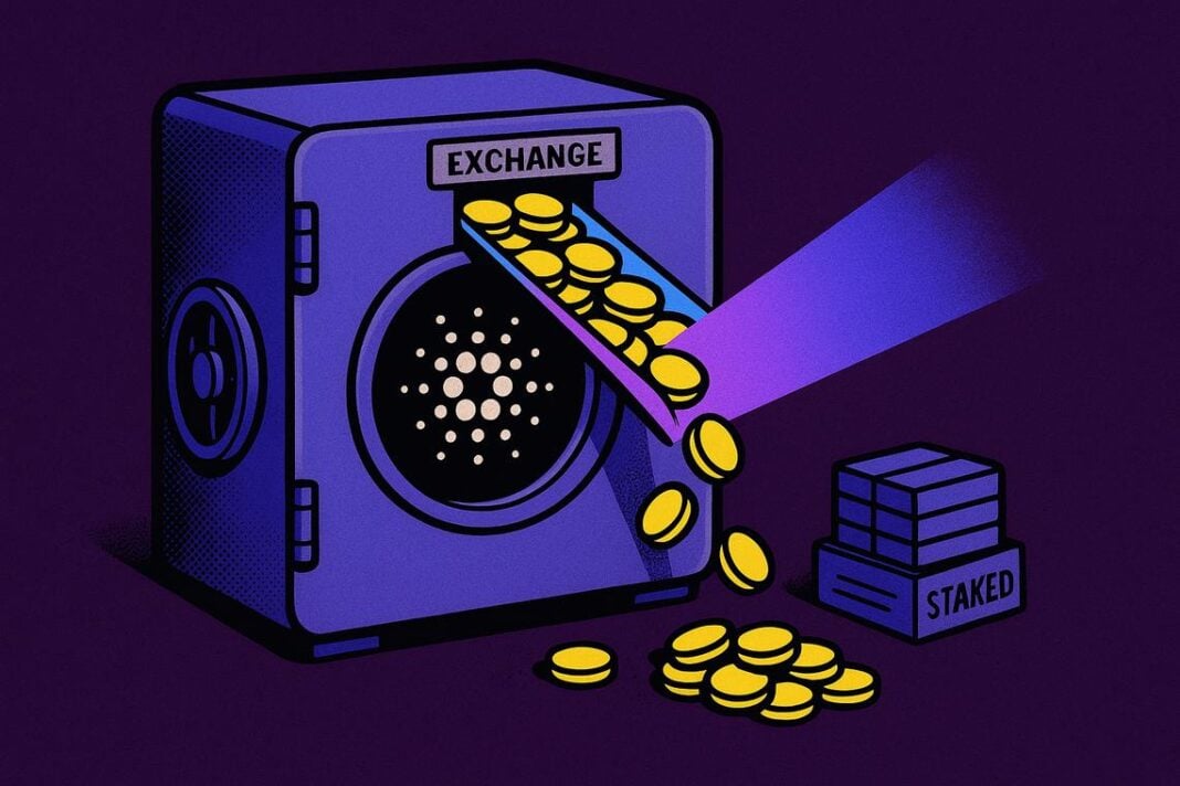 Cardano ADA supply shock: whales tighten liquid float